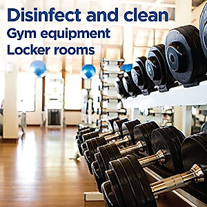 Clorox Disinfecting On The Go Travel Wipes, Fresh Scent, 9 Count, Pack of 24 (Package May Vary)