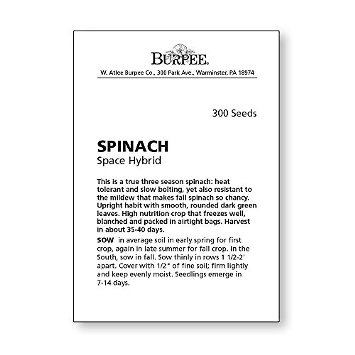 Burpee Space Hybrid Spinach Seeds 300 seeds