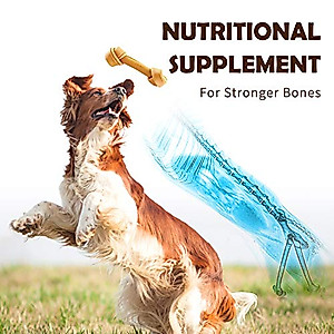 AFreschi Turkey Tendon and Chicken for Dogs, Premium All-Natural Joint Health Supplement containing Calcium, Good for Puppy Chew, Dog Treat, Hypoallergenic, Alternative to Rawhide (Small)