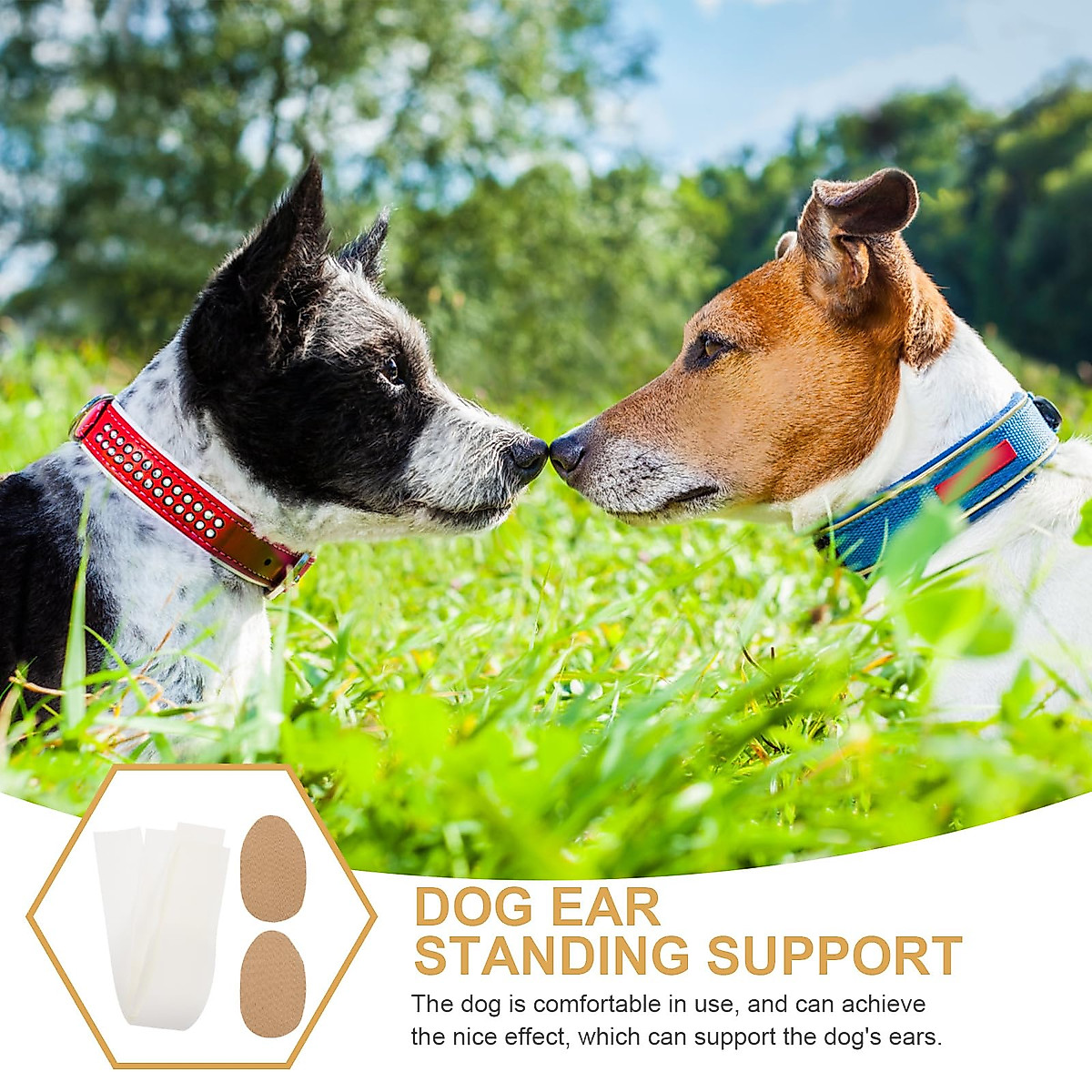 Ipetboom Dog Ear Posting Kit, Dog Ear Stand Sticker Up Support Tool Dog Ear Fixed Correction Vertical Holder for Corgi Small Doberman 1 Pair