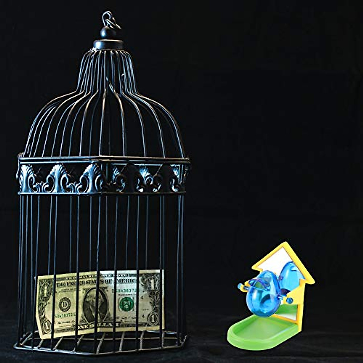 PATKAW Parrot Feeding Perch Bird Foraging Toy Parrot Foraging Toy Bird cage Feeder Parrot Training Toy Parrot Slow Feeder Birds Toys