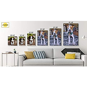 Laoife Custom Canvas Upload Images, Personalized Photo to Canvas Digitally Print Wall Art, Personalized Canvas Pictures for Kid Lover Pet Family, Canvas Framed（20x30 inch）