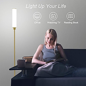Mudodi Floor Lamps for Living Room with Remote Control, Full Range Dimming Minimalist Standing Lamp Perfect for Living Room, Bedrooms and Office. (Gold)