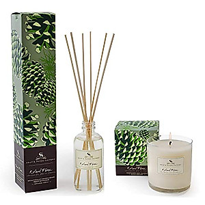 Soap & Paper Factory Roland Pine Diffuser 3.65 oz and Candle 9.5oz with A Gute Wick Snuffer (3 Piece Bundle)