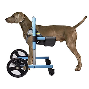 Elitix Injured Dog Wheelchair for Front Legs Support Only, Dog Front Legs Mobility Aids for Small Medium Large Dog, Dog Leg Support Brace/Mobility Cart(S), 78634