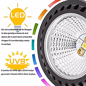 NEPTONION High Intensity UVB Reptile Bulb, UVB 10.0 Reptiles Bulb, LED 5W UV Light Bulb, UVB Compact Fluorescent Lamp, Suitable for Desert Reptiles (E27,110V)