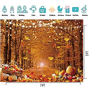 CYLYH 7x5ft Fall Photography Backdrop Autumn Maple Forest Leaves Pumpkin Party Background Thanksgiving Party Supplies Farm Harvest Event Banner Thanksgiving Photo Booth Props CY579