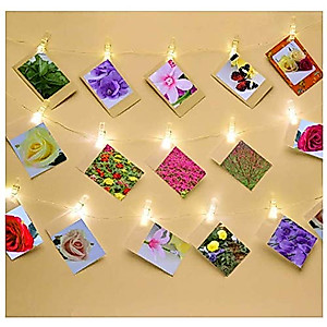 50PCS Clear Plastic Mini Spring Hanging Clips Clamps Holder Clothing Pins Paper Photos Clothes Line Clip Clothespins Clip Hanger Clips Laundry Clothespins(3.5cm x 0.7cm x 1cm)