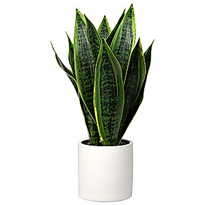 Briful Fake Snake Plant 16" Faux Potted Plant Artificial Snake Plant with White Ceramic Pot Sansevieria Plant Perfect for House Modern Living Room Office Housewarming Gift Indoor Decor