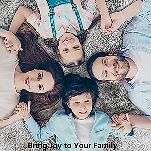 wxnzsl Area Rug for Bedroom 2x3 Fluffy Rugs, Small Plush Furry Shaggy Rugs, Indoor Soft Fuzzy Shag Rugs for Living Room Girls/Boys Room- Dark Gray