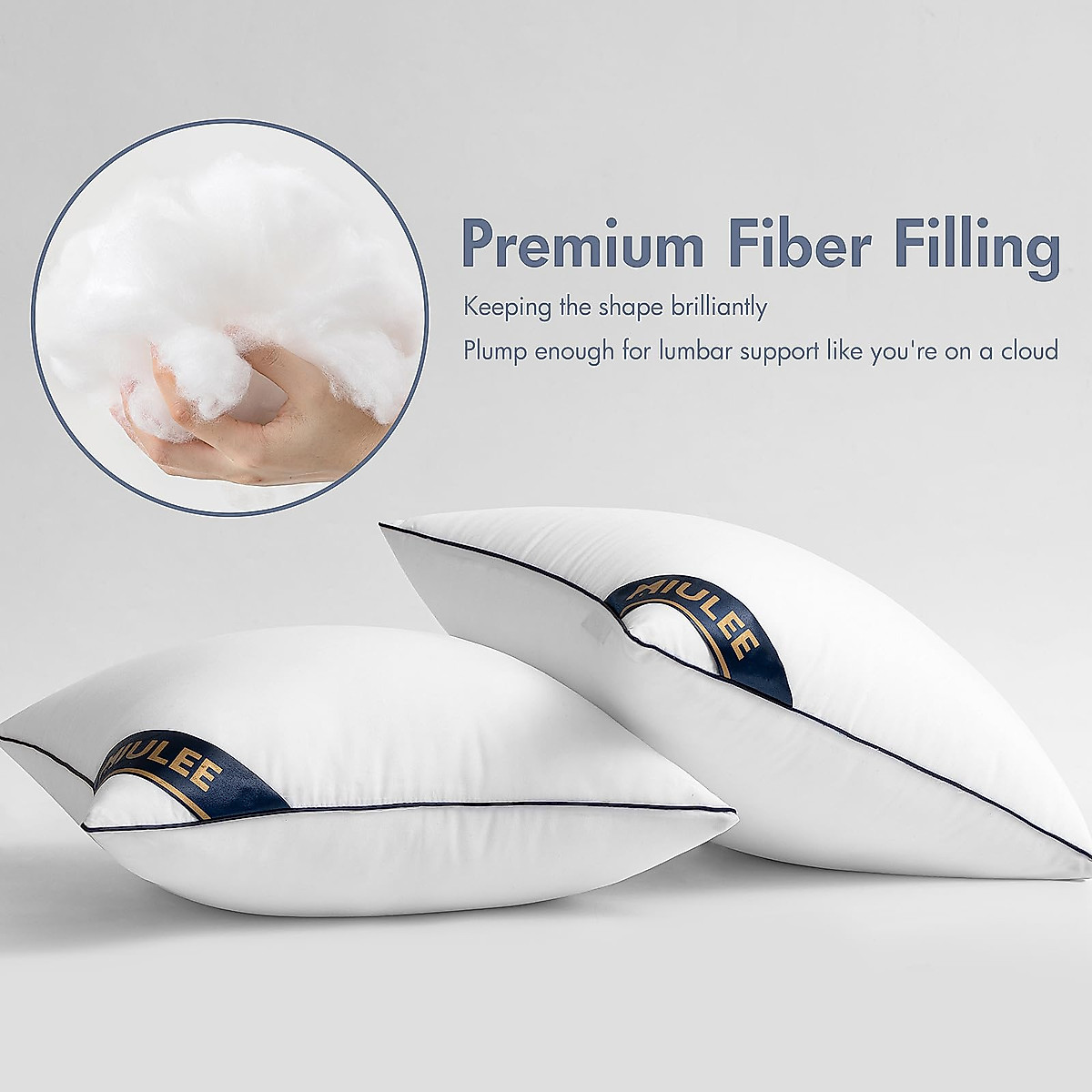 MIULEE 18x18 Pillow Inserts Set of 2 Throw Pillows 18 Inch Premium Down Alternative Pillow Inserts Decorative Pillow Stuffer for Sofa, Couch (18x18 inch, Set of 2)