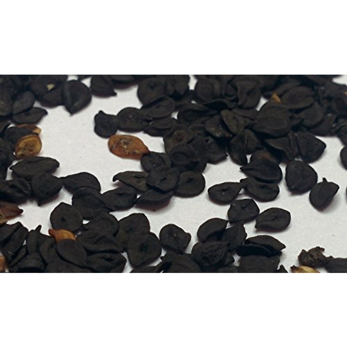 Flower Seeds - Sweet William Seeds- Mixed Colors - Dianthus barbatus - Biennial - Liliana's Garden