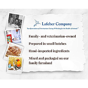 LAFEBER'S Classic Avi-Cakes Pet Bird Food, Made with Non-GMO and Human-Grade Ingredients, for Cockatiels Conures Parakeets (Budgies) Lovebirds, 8 oz