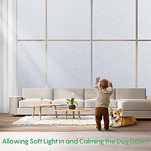 Coavas Window Privacy Film Frosted Glass Window Clings Bathroom Door Window Coverings Day and Night Privacy Peel and Stick Sun Blocking Decorative Frosting Home Window Tint (35.4 x 118.1 Inch, Pure)