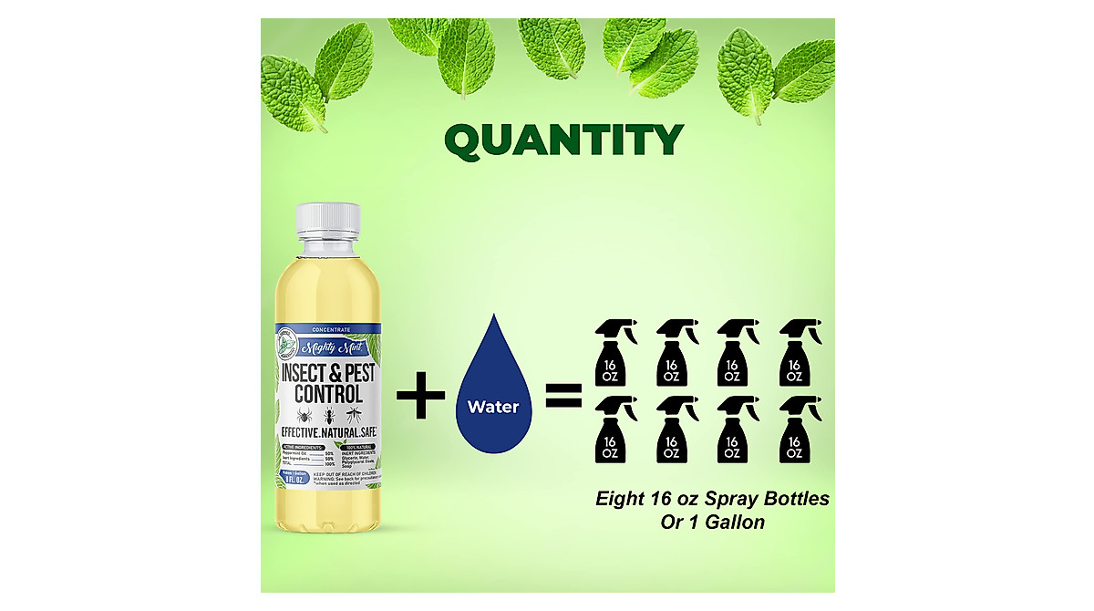 Mighty Mint: Natural Peppermint Pest Control Concentrate