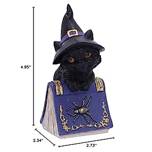 Nemesis Now Pocus Witch's Familiar Black Cat Figurine with Spellbook – Hand-Painted Resin Decoration for Witchcraft and Magic Lovers