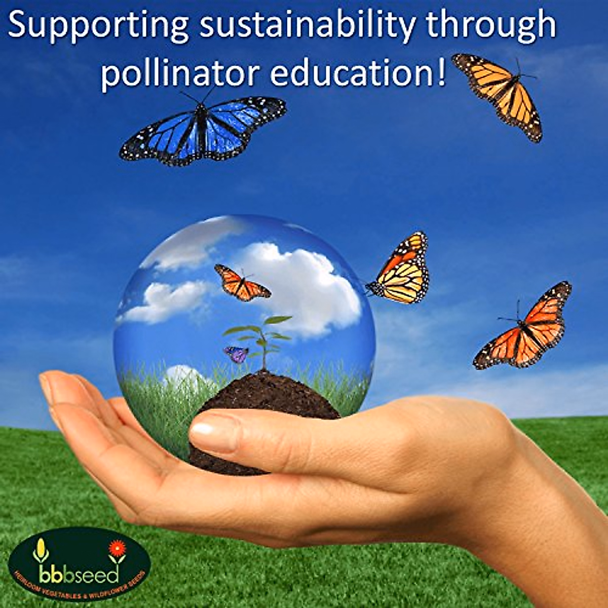 Monarch Butterfly Rescue Wildflower Seeds Bulk Open-Pollinated Wildflower Seed Packet, No Fillers, Annual, Perennial Milkweed Seeds for Monarch Butterfly 1oz