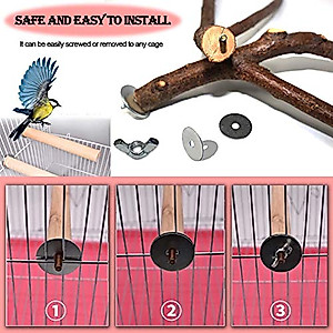 PINVNBY Bird Perch,Parrot Perches Stand Natural Peach Wood Fork Parakeet Birdcage Paw Climbing Stands Cage Toy Accessories for Conures,Lovebirds,Budgies,Cockatiels and Finches(10 Pcs)
