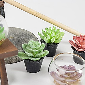 1/12 Scale Miniature Scene Fairy Garden Farm and Plant(Set of 9)