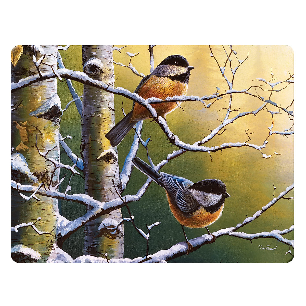 Rivers Edge Products Large 12in x 16in Decorative Tempered Glass Cutting Board, Hypoallergenic, Non Slip, Textured Surface Chopping Board for Kitchen, Cute Birds for Bird Watcher, Chickadee