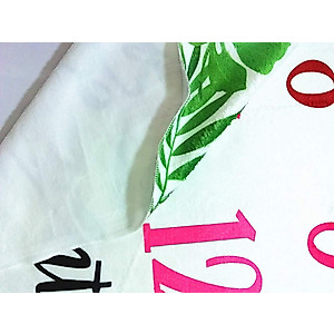 illikkuyax Baby Monthly Milestone Blanket, 40×60 Inches Infant First Year Pink Flamingo Milestone Blanket, Flannel Fleece, Photography Backdrop Photo Prop for Boy Girl