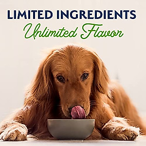 Natural Balance Limited Ingredient Adult Wet Canned Dog Food with Vegan Plant Based Protein and Healthy Grains, Vegetarian Recipe, 13 Ounce (Pack of 12)