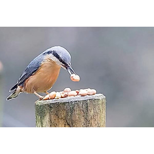 Valley Farms Peanut Kernels - Clean & Fresh (Value 2-Pack 8 LBS Total)