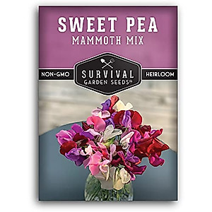Survival Garden Seeds - Mammoth Sweet Pea Seed for Planting - Packet with Instructions to Plant and Grow Fragrant Blossoms in Your Home Flower and Vegetable Garden - Non-GMO Heirloom Variety