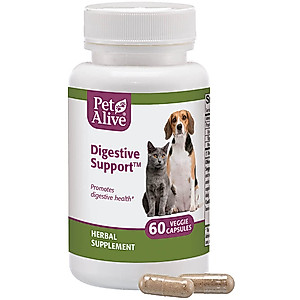 PetAlive Digestive Support - All Natural Herbal Supplement for Cat and Dog Digestive Tract Health - 60 Veggie Caps