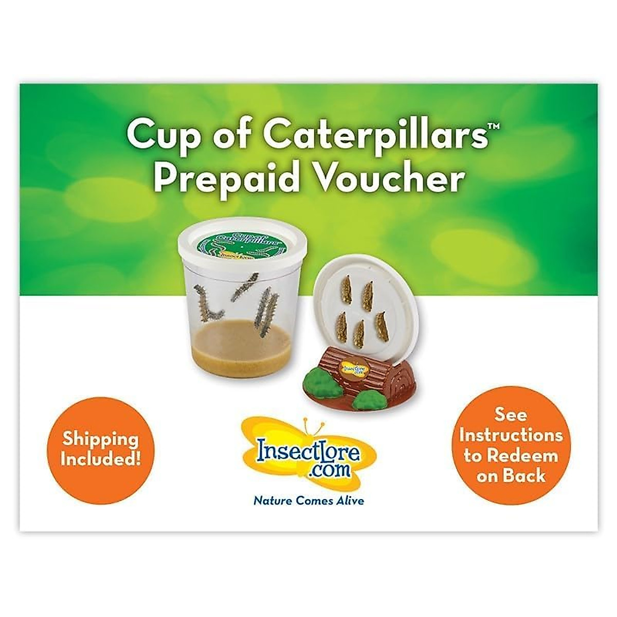 Insect Lore - Butterfly Growing Kit - Clear Front Facing Viewing Panel - Pre-Paid Voucher to Redeem Caterpillars Later – Life Science & STEM Education – Butterfly Science Kit