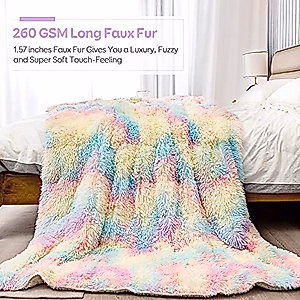 Cottonblue Faux Fur Weighted Blanket 15 lbs for Adult 48x72 Inches, Plush Shaggy Fluffy Throw Blanket Twin ​Size, Cozy Warm Furry Weighted Blanket for Couch Sofa Chair Home Decor, Rainbow