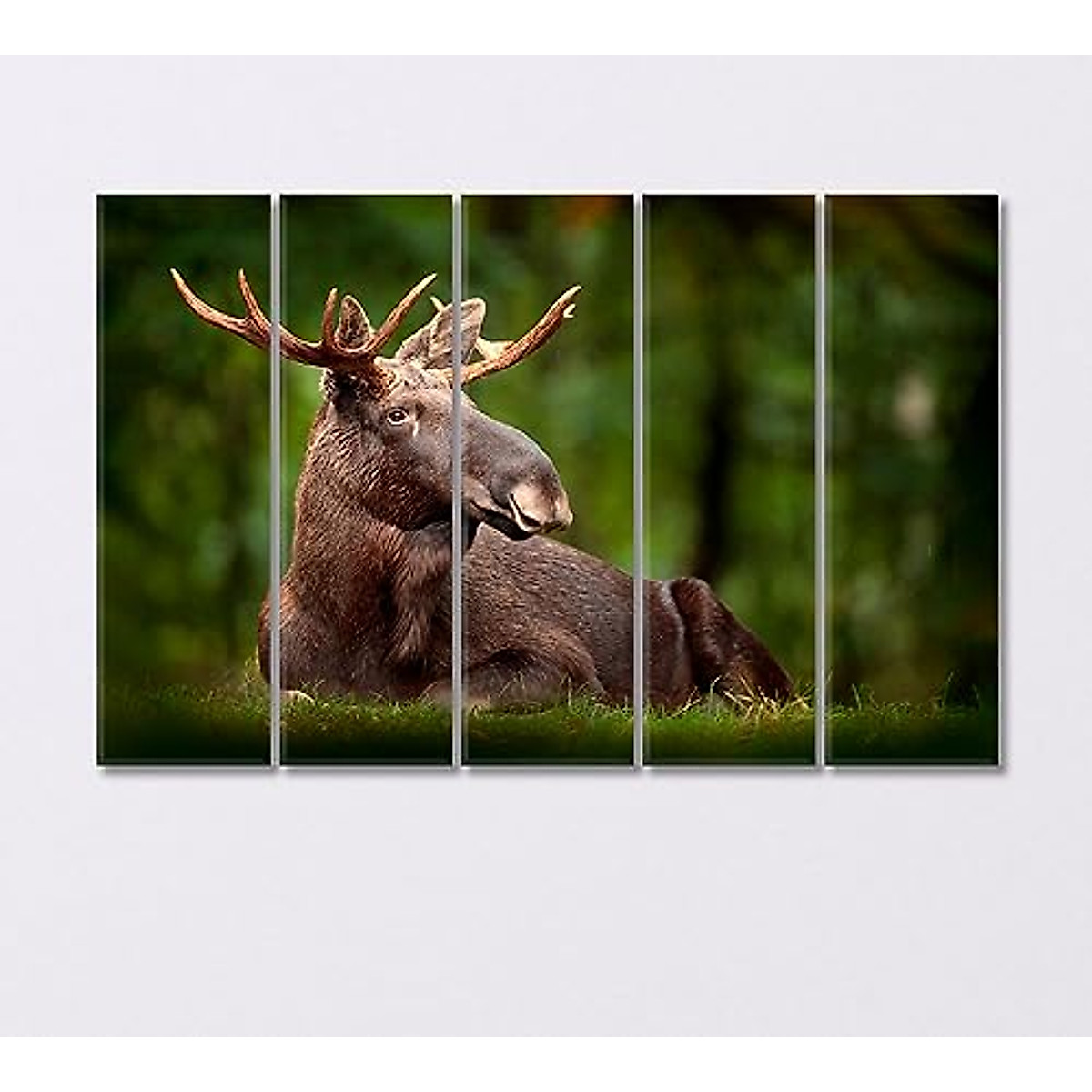 American Moose in Natural Habitat Canvas Print 5 Panels / 36x24 inches