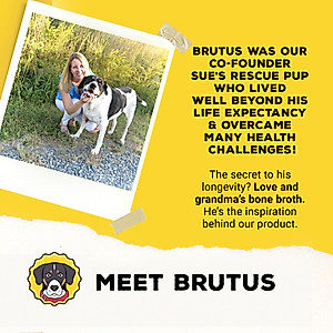 Brutus Bone Broth for Dogs - Bone Broth Powder with Chondroitin Glucosamine & Turmeric - Human Grade Dog Food Toppers for Dry Food & Picky Eaters - 10 Stick (Beef)