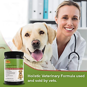 WellyTails Glucosamine Chondroitin MSM Turmeric Dog Joint Supplement for Large Dogs 12.2 oz. (60 Scoops)