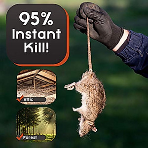 Squirrel Traps Outdoor - Squirrel Traps - Ouell Traps - Trap for Squirrels (Big)