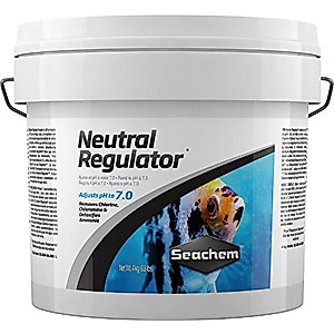Neutral Regulator, 4 kg / 8.8 lbs