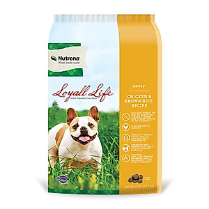 Nutrena Loyall Life Adult Chicken & Brown Rice Dog Food (20 Pounds)