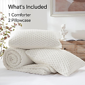 BEDELITE Fluffy Queen Comforter Set - Cream White Fleece Soft Comforter for Queen Size Bed, Luxury Warm Bedding Set for Winter, Fuzzy Bed Set 3 Pieces (1 Comforter, 2 Pillowcases)