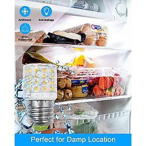ZHENMING KEI D34L Refrigerator Bulb AC100-265V 3.5W Fridge Light Bulb Replacement, 4W LED Bulb E26 Medium Base Bright Lamp for 40W-60W Freezer Appliance Lighting, A15 Daylight White 5000K, 2 Pack