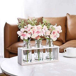 hehimhis Desktop Glass Planter Vase with Wooden Stand for Hydroponics Plants Decor for Home Office Garden Wedding, Pink