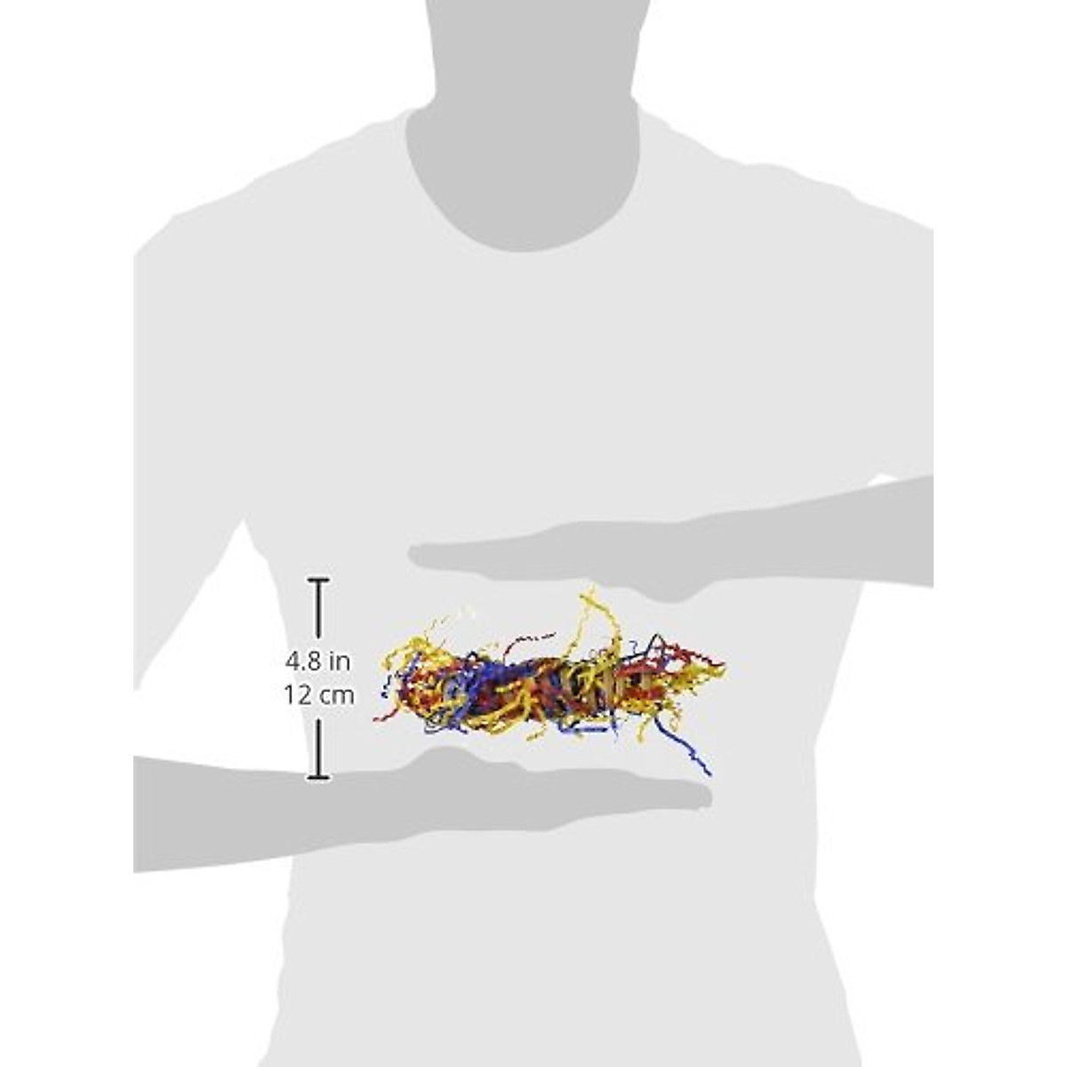 Super Bird Creations SB779 Fiesta Millet Holder Bird Foraging Toy, Small/Medium Bird Size, 9" x 1.5"