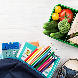 BLUE ELE BE01 Ice Pack for Lunch Box and Cooler, BPA Free, Reusable and Long Lasting, Slim and Lightweight Design for Kids, Set of 4, Fun & Colorful