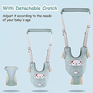 Ocanoiy Baby Walking Harness Handheld Baby Walker Assistant Belt Adjustable Toddler Infant Walker Safety Harnesses Standing and Walking Learning Helper with Detachable Crotch for 9-24 Month (Green)