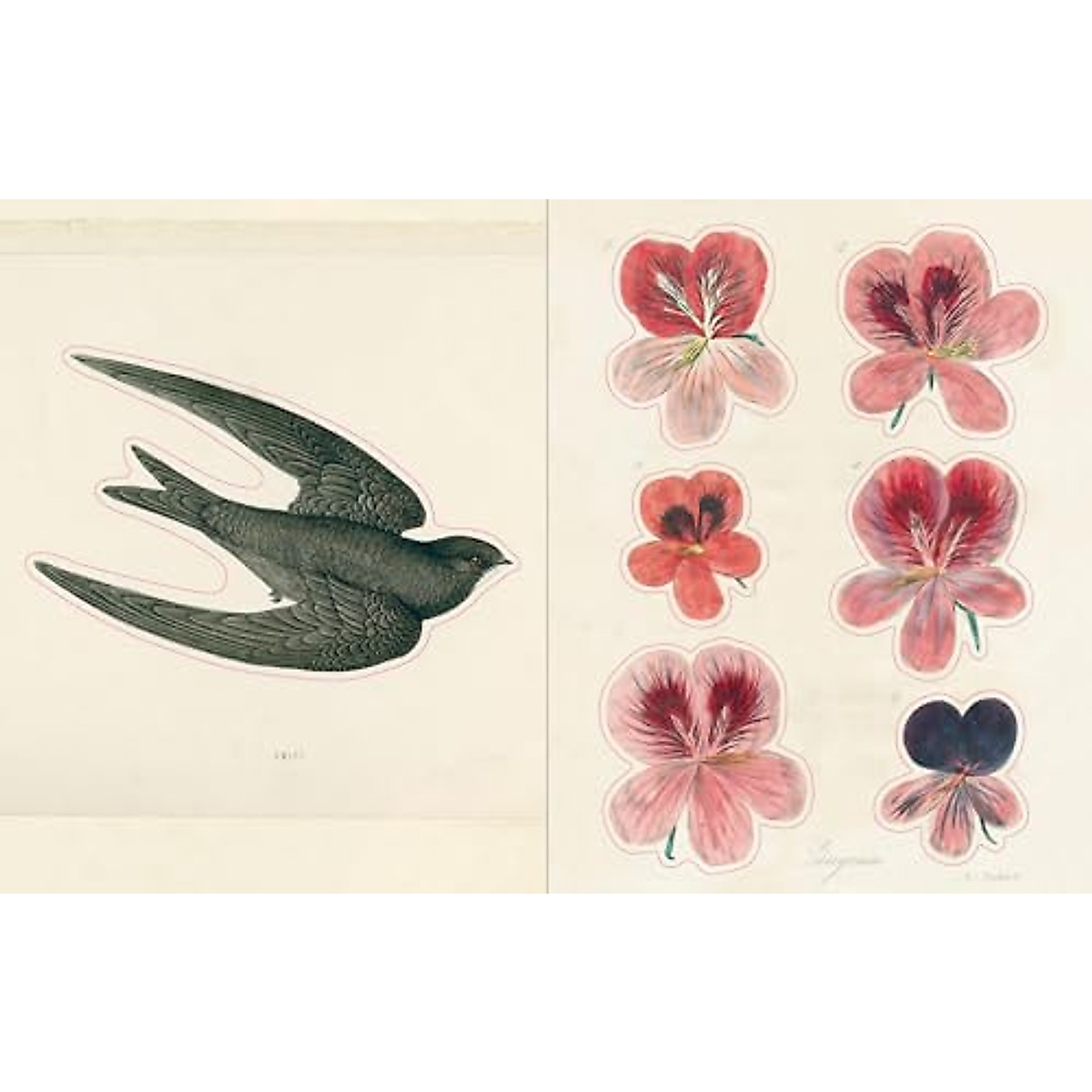 John Derian Sticker Book (John Derian Paper Goods)