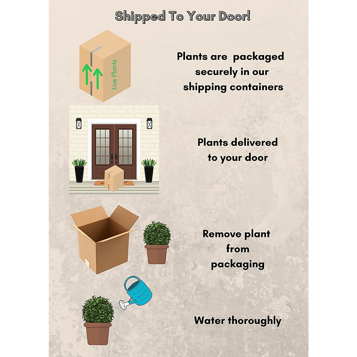 Proven Winner Double Play Doozie Spirea, 2 Gal, Red to Purple Flowers