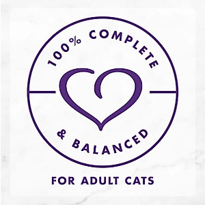 Fancy Feast Purina Delights with Cheddar Grilled Turkey & Cheddar Cheese Flavor in Gravy (12-CANS) (NET WT 3 OZ Each)