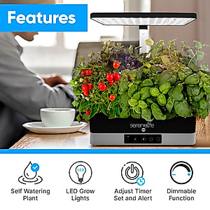Hydroponic Herb Garden 6 Pods, Indoor Herb Garden Kit, Seed Pod, Indoor Garden, Full-Spectrum Grow Light, Adjustable Height, Hydroponic Indoor Garden, Smart Indoor Plant system, Black