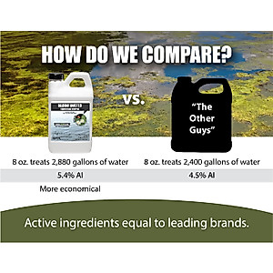 Bloom Buster Pond Algae Control - 64oz - Fast Acting Algaecide, Use in Fountains & Outdoor Ponds Containing Koi & Other Fish - EPA Registered