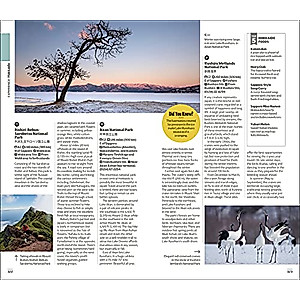 DK Eyewitness Japan (Travel Guide)