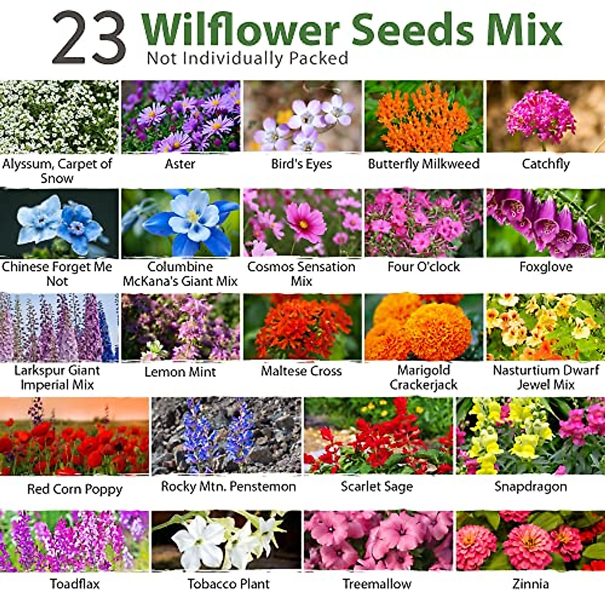 130,000+ Wildflower Seeds - Premium Birds & Butterflies Wildflower Seed Mix [3 Oz] Flower Garden Seeds - Bulk Wild Flowers: 23 Wildflowers Varieties of 100% Non-GMO Annual Flower Seeds for Planting